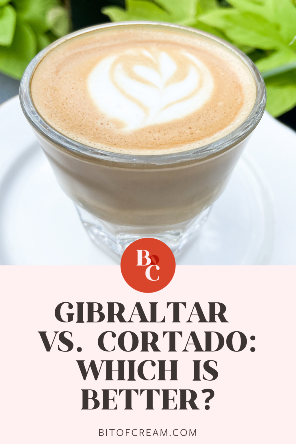 Coffee Comparison: Gibraltar vs. Cortado - Which is Better? - BIT OF CREAM