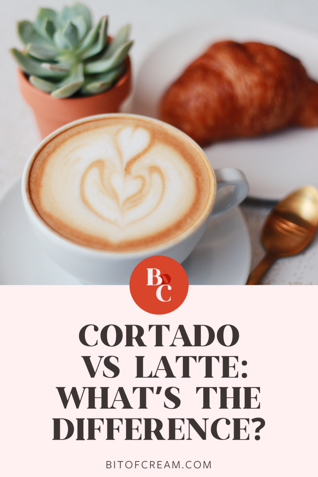 Cortado vs Latte - Which Coffee Drink Should You Get? - BIT OF CREAM