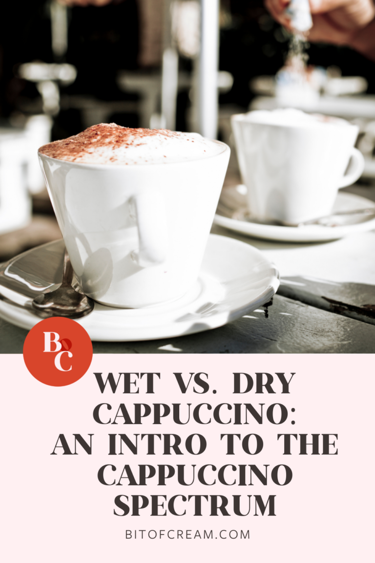 Wet vs. Dry Cappuccino - An Intro To The Cappuccino Spectrum - BIT OF CREAM
